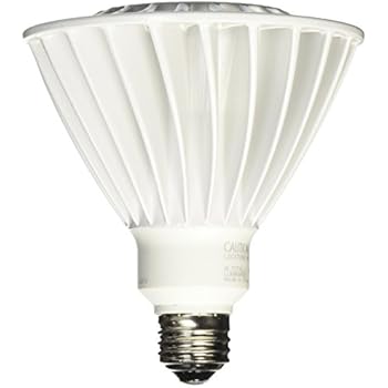 TCP LED19E26P3827KFL LED Light Bulb 19-watt PAR38 Floodlight, 2700 ...