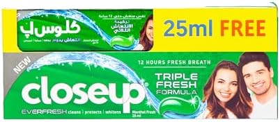 Close Up Ever Fresh for 12H Fresh breath Menthol Fresh Toothpaste 100ml ...