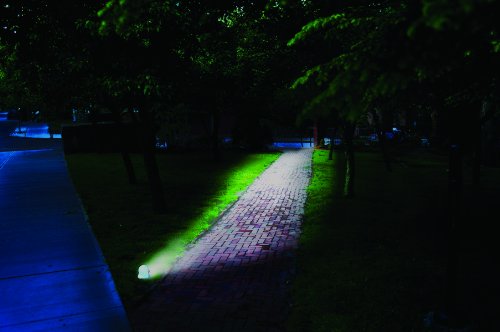 MAXSA Innovations 40241 Anywhere Light in White Home Garden Home ...