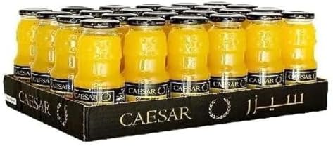Caesar Mango Juice Bottles, 24 X 250 ml - Pack of 1 price in Saudi ...