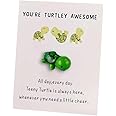Amazon.com : Mini Pocket Hug Turtle, You're Turtley Awesome ...