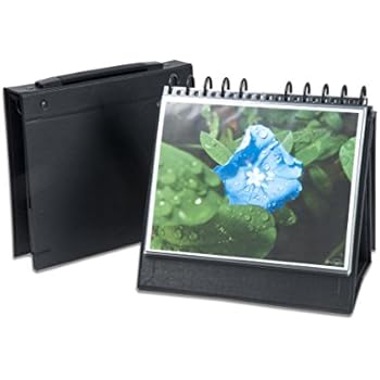 Amazon.com: Florence 17"x22" Easel Binder / Flip Chart Presentation ...