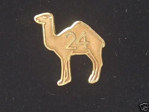 AA ALCOHOLICS ANONYMOUS CAMEL ENAMEL LAPEL PIN BADGE: Amazon.co.uk ...
