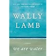 Amazon.com: We Are Water: A Novel: 9780061941023: Lamb, Wally: Books