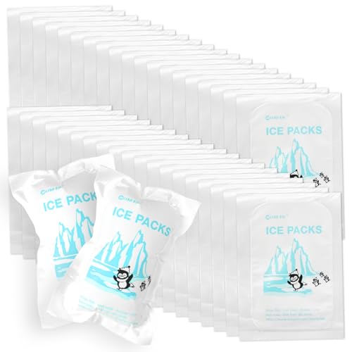 Small Shipping Dry Ice Packs Shipping Cold Packs for Frozen Food, 48 Packs Bulk Dry Ice Sheets ...