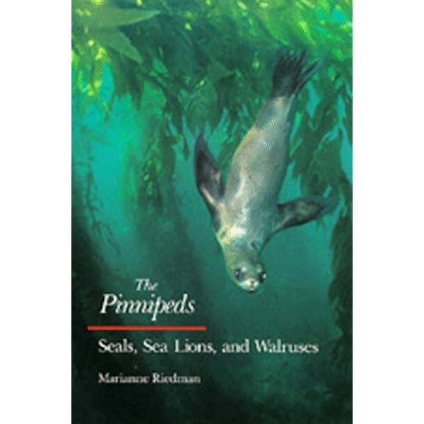 Pinnipeds And Sirenians