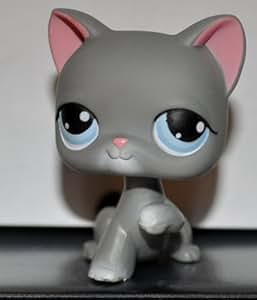 Amazon.com: Kitten Shorthair #74 (Cat, Raised Paw, Grey, Blue Eyes ...