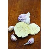 Vegetable Plants & Seeds | Amazon.com