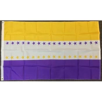 Amazon.com : Best Flags 19th Amendment Victory 3x5' Poly Flag ...