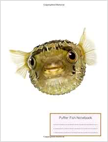 Puffer Fish Notebook: Cute Puffer Fish Exercise Book and Composition ...