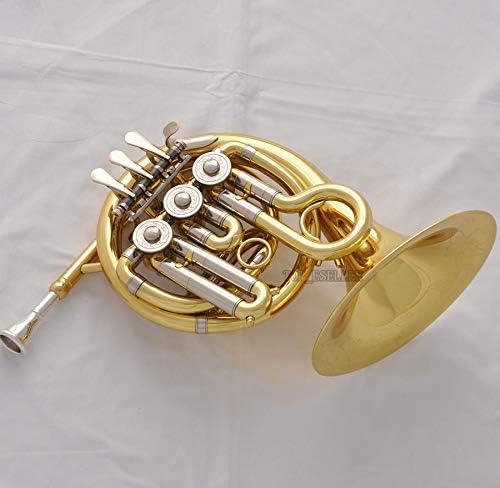 Amazon.com: FidgetGear Top Gold Piccolo Bb MiNi French Horn Engraving ...
