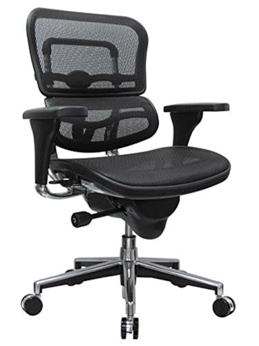 Eurotech Seating Ergohuman Mid Back Mesh Swivel Chair, Black in Oman ...