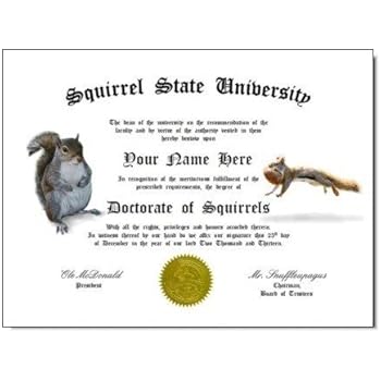 Amazon.com: Creative Displays Personalized Squirrel Degree: Custom Gag ...