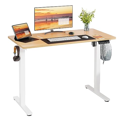 Meilocar Height Adjustable Electric Standing Desk, Sit Stand Computer ...