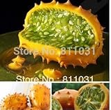 Kiwano - How to grow & care