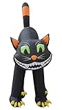 Giant Inflatable Furry Black Cat - The Green Head