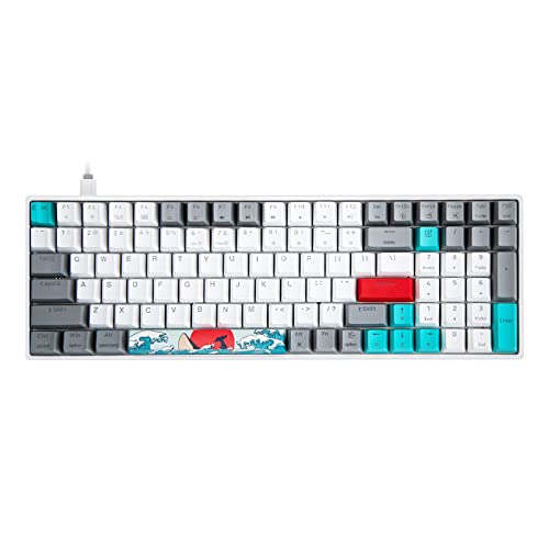SKYLOONG SK96 Lite Gasket Keyboard,Compact Full Keyboard,100 Key Double ...