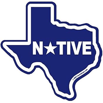 Amazon.com: Don't Mess With Texas car bumper sticker decal 4" x 6 ...