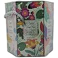 Amazon.com: Chami Tea Sampler Gift Set | Apple & Cinnamon, Jasmine ...