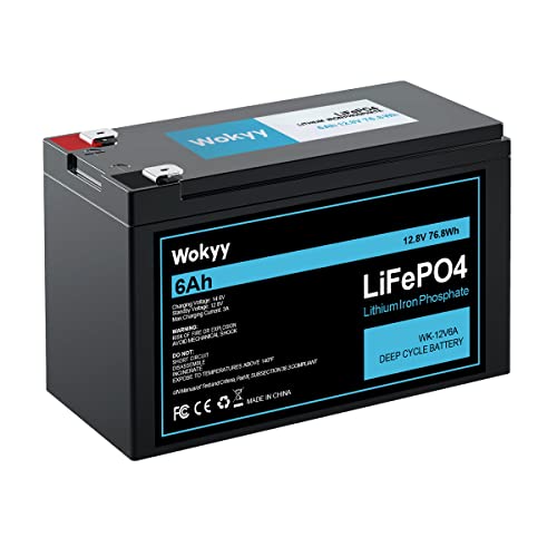 Wokyy 12V 6Ah Lithium Iron Phosphate LiFePO4 Battery, 2000+ Life Cycles ...