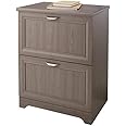 Amazon.com: Realspace Magellan 24"W 2-Drawer Lateral File Cabinet, Gray ...
