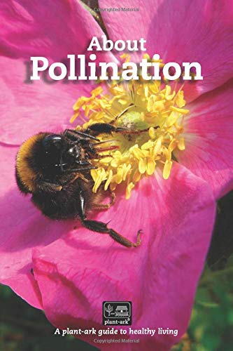 About Pollination: What is pollination, its importance, how pollination ...