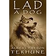 Lad: A Dog: Terhune, Albert Payson: 9781434440495: Amazon.com: Books