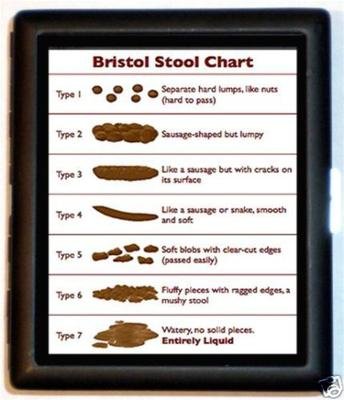 Buy Bristol Stool Chart Check Ur Poop or ID Case Online at desertcartINDIA