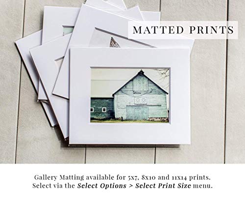 Shabby Chic Farmhouse Wall Decor Set of 6 Art Prints (Not Framed). Aqua ...