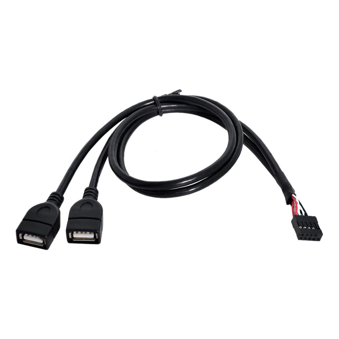Mua 10 Pin Motherboard Female to Dual USB 2.0 Female Adapter Cable by ...