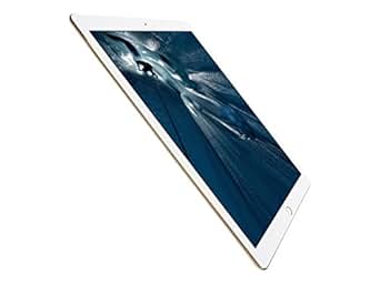 Amazon.com : Apple iPad Pro (32GB, Wi-Fi, Gold) - 12.9" Display ...