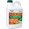Amazon.com: American Hydro Systems Rid O' Rust 64 oz. Rust Preventer ...