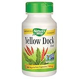 Yellow Dock Herb Uses, Health Benefits and Side Effects