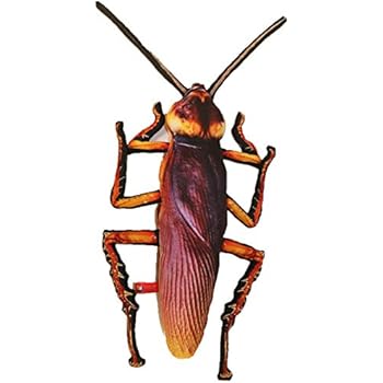 Amazon.com: Creative Cockroach Plush Pillow 3D Animal Insect Stuffed ...