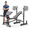 Lmdex Folding Standard Olympic Weight Bench Press Barbell Rack Set with ...