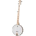 Amazon.com: Deering Goodtime 5-String Banjo : Musical Instruments