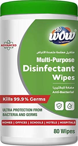 Wow Antiseptic Disinfectant 80 Wipes Canister Pack price in UAE | Amazon UAE | kanbkam