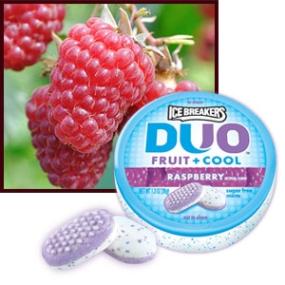 Amazon.com : ICE BREAKERS DUO Fruit + Cool Sugar Free Mints (Raspberry ...