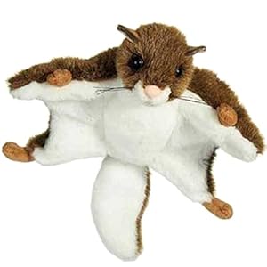 Amazon.com: Fiesta Toys Flying Squirrel Plush Stuffed Animal Toy - 9 ...