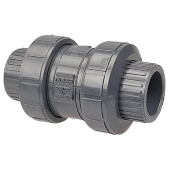 3/4" CPVC Check Valve with Threaded and Socket Ends: Amazon.com ...
