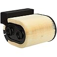 Amazon.com: Motorcraft - Element Asy - Air Cleaner (FA1927) : Automotive