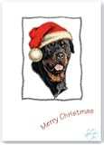 Rottweiler Christmas Card Xmas dog cards sold Individually: Amazon.co ...