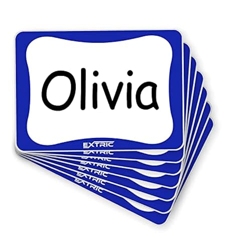 Plain Name Tag Stickers, White with Blue Border Name Tag Labels, 100 ...