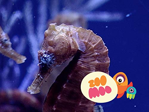 Watch Growing Up - Season 1 | Prime Video