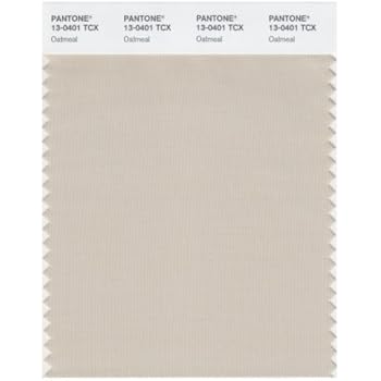 PANTONE Smart 13-0401X Color Swatch Card, Oatmeal - House Paint ...