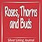 Roses, Thorns and Buds: Silver Lining Journal for Daily Joys ...