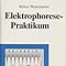 Elektrophorese-Praktikum: Amazon.de: Reiner Westermeier: Fremdsprachige ...
