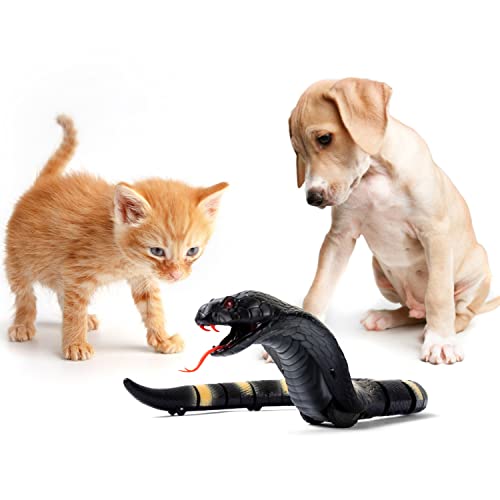 Infrared Sensing Snakes Thinkbotics