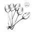 Amazon.com | Oneida Savor Spoon Set of 6: Flatware Sets