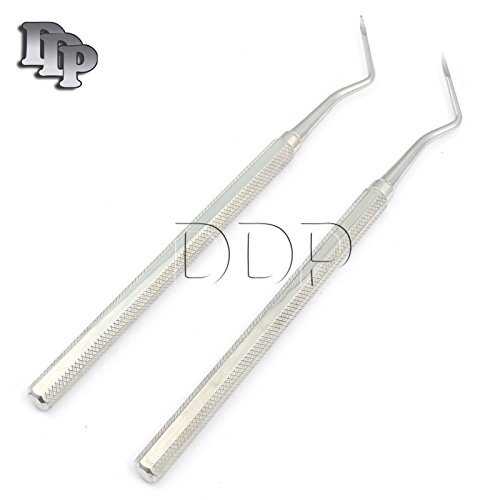 Amazon.com: DDP 2 PCS DENTAL ROOT TIP PICK DENTAL INSTRUMENTS ...